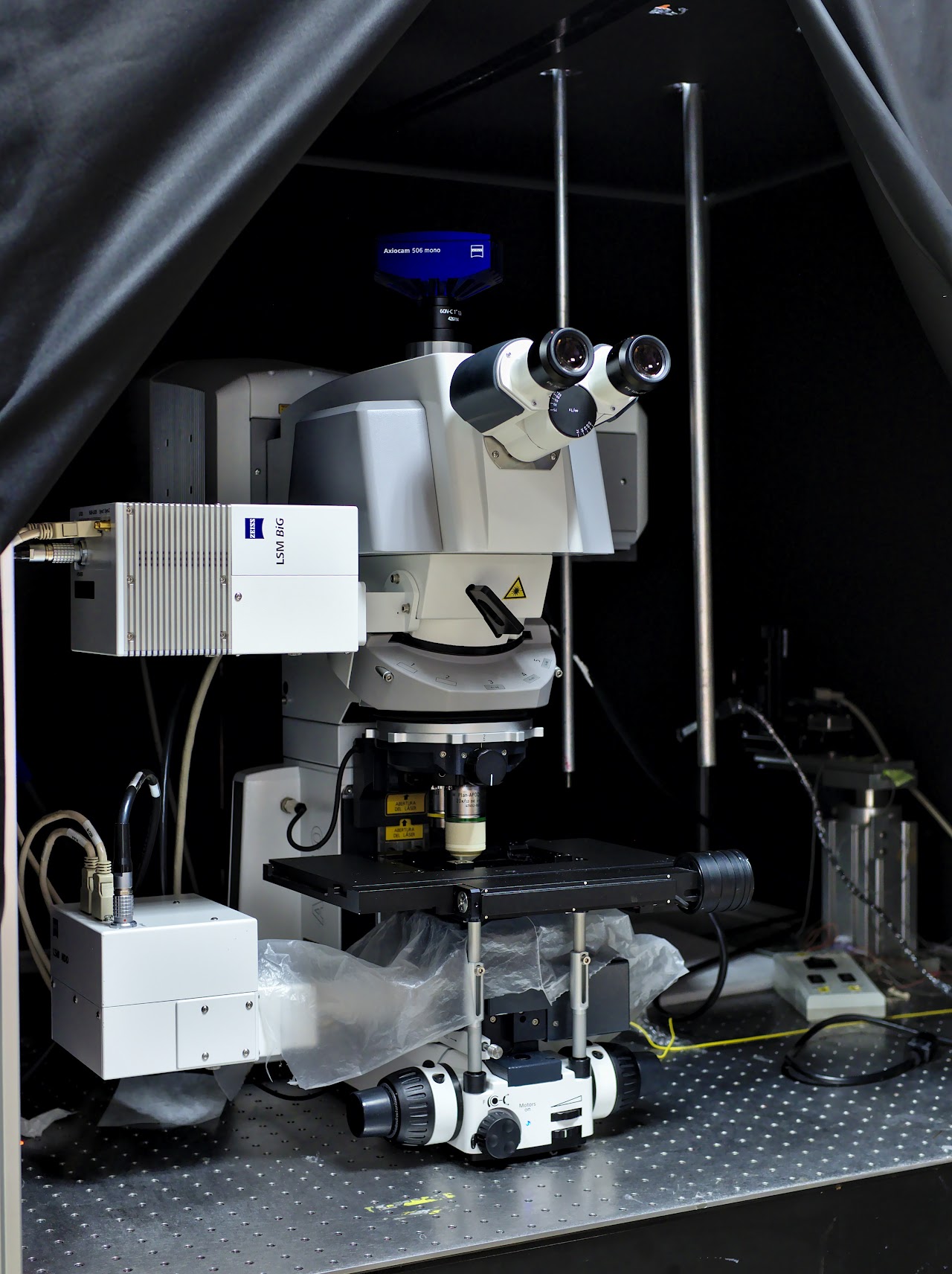 Instituto de Fisiología Celular UNAM