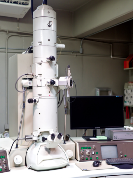 Instituto de Fisiología Celular UNAM