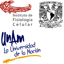 Instituto de Fisiología Celular UNAM